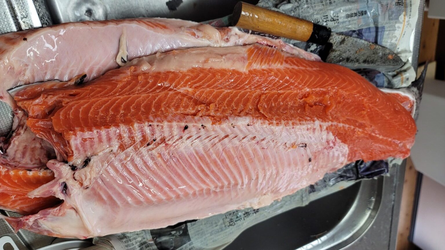 ドナルドソンってどんな魚？刺身で食べても大丈夫？【ニジマス・エリアトラウト】 - ビボロク！～釣りの備忘録～